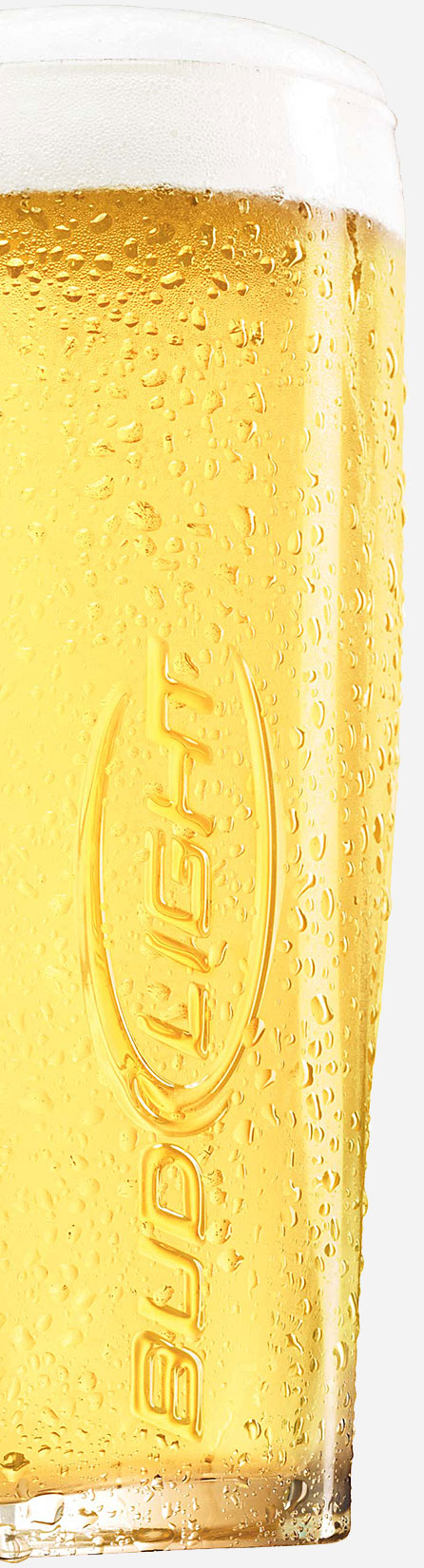 Bud Light - Anheuser Busch Draught