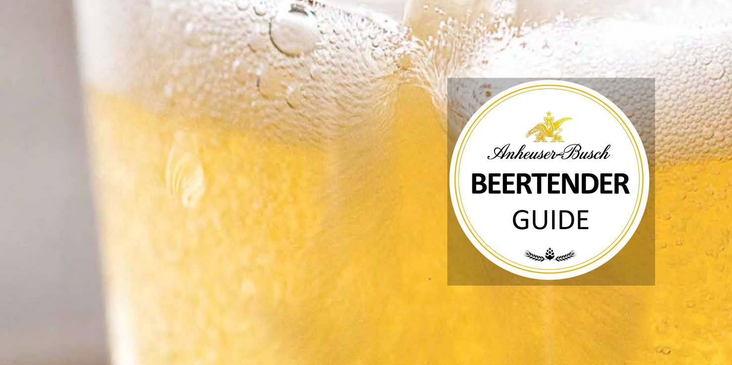 Server - Anheuser Busch Draught
